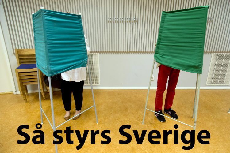 8 Sidor - Så jobbar riksdagen